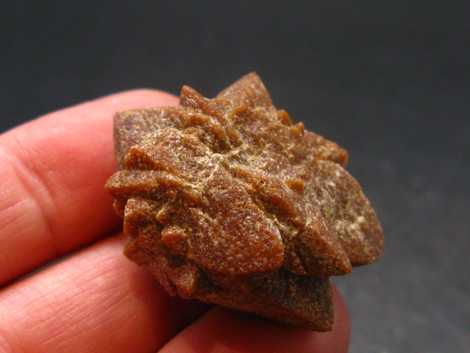 Glendonite (Ikaite after Calcite) Crystal From Russia - 1.2" - 12.12 G ...